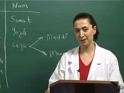 Sosyoloji Dersleri 4 - Toplumsal değerler ve normlar