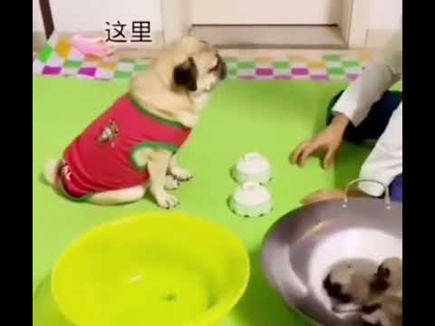 Gülmekten koptum 🤣🤣🤣🤣