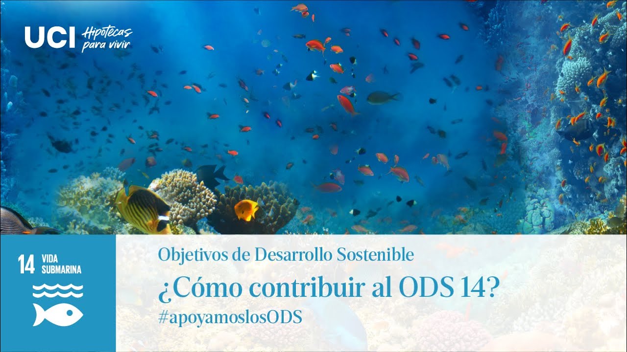 Objetivos de Desarrollo Sostenible: ¿Cómo contribuir al ODS 14? - YouTube