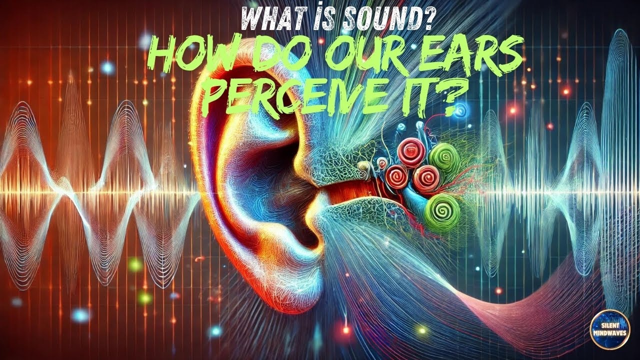 What is Sound? How Do Our Ears Perceive It? - YouTube