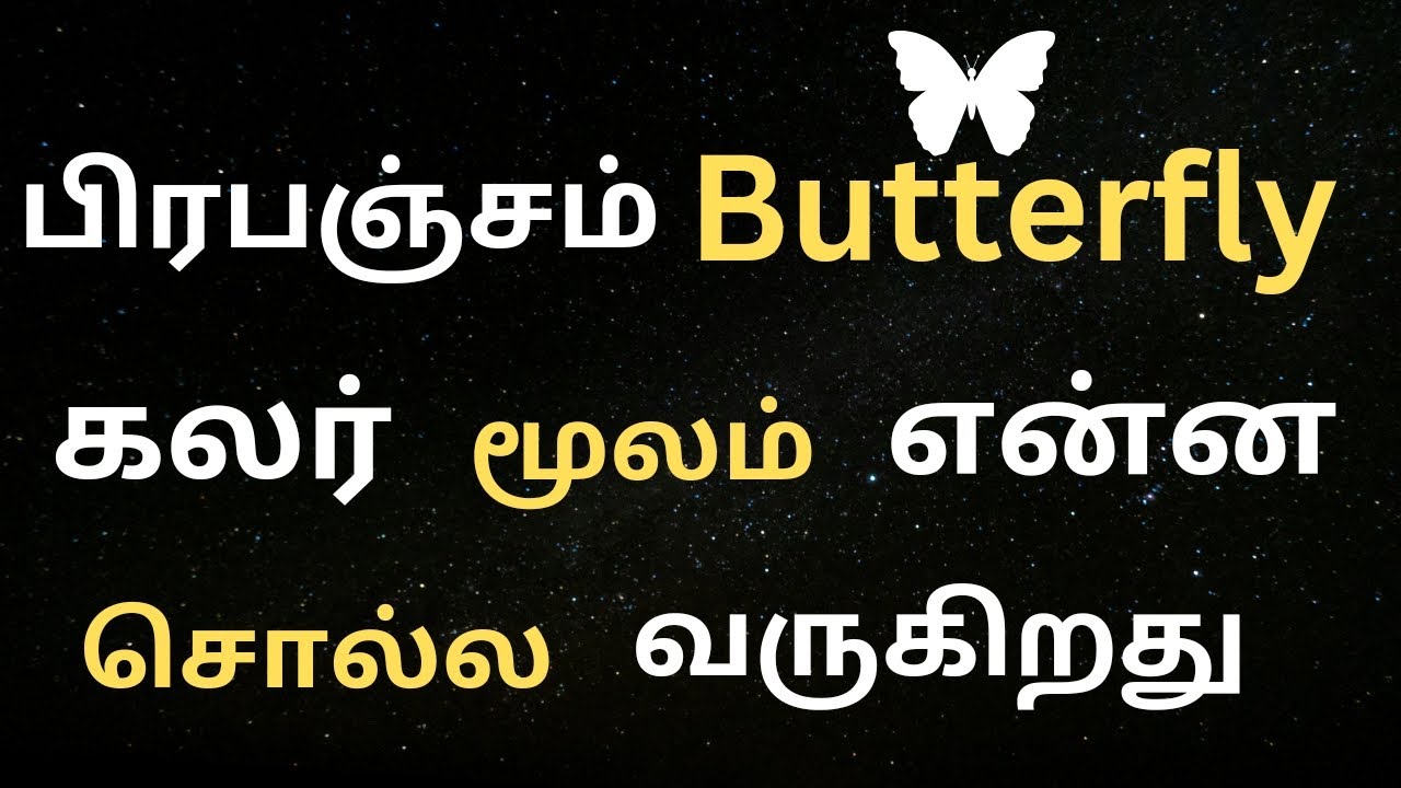 Butterfly Colour Meaning In Tamil Creator With Divine Universe butterfly-colour-meaning-in-tamil-creator-with-divine-universe