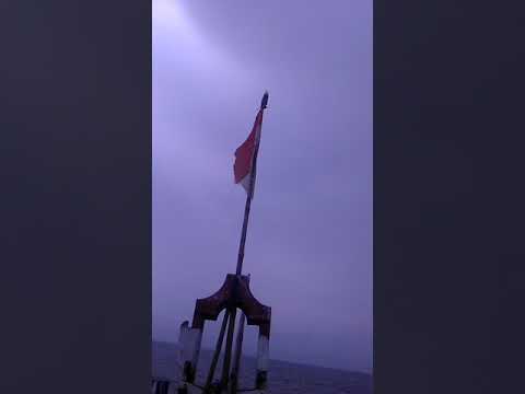 Miyank weru paciran lamongan