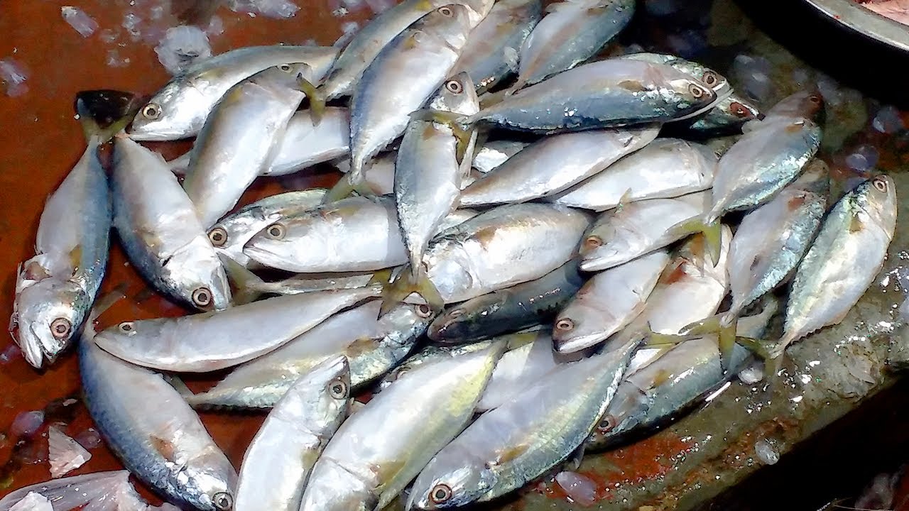 amazing parla fish cutting skills | expert fish cutting mackerel fish ...