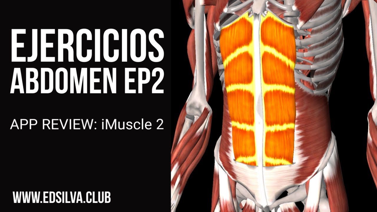 APP REVIEW: iMuscle 2, EJERCICIOS PARA EL ABDOMEN (RECTO ABDOMINAL) EP2 ...