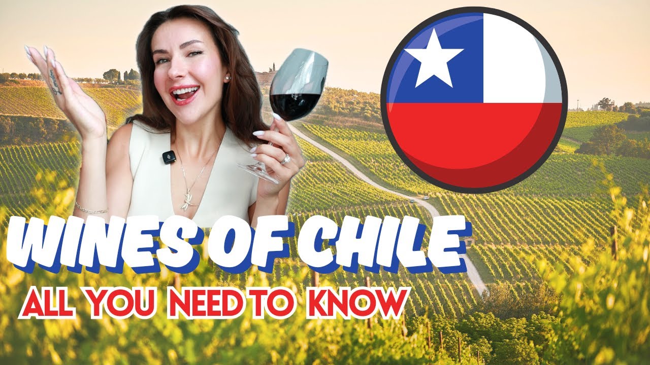 Wines of Chile Explained | Best Chilean Wines 🍷 - YouTube