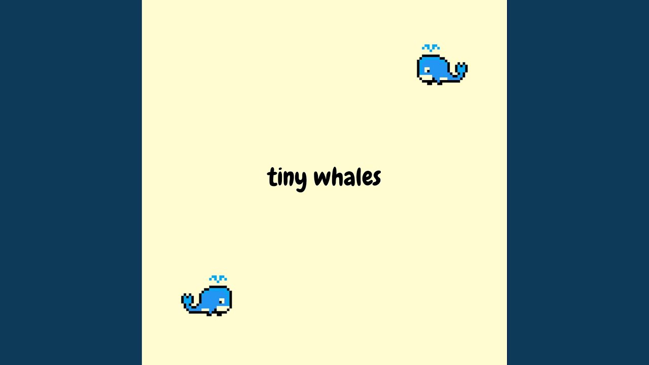 tiny whales - YouTube