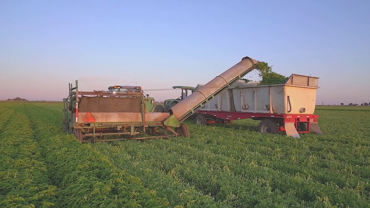 Videos | Discover Our Farm-Fresh Ingredient Journey | SupHerb Farms