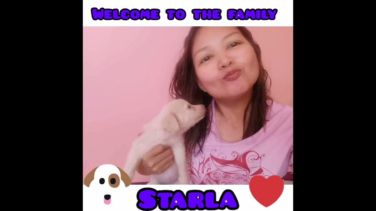 Our New Family Member STARLA Welcome To Our Family Be A Good Girl our-new-family-member-starla-welcome-to-our-family-be-a-good-girl