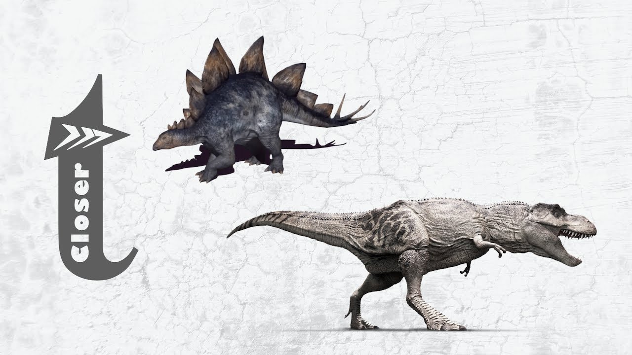 Historical Timelines: T-Rex, The Stegosaurus + - YouTube