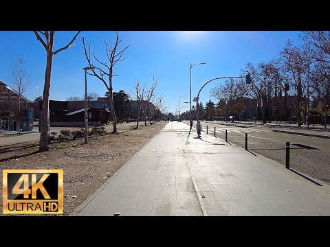 CIUDAD UNIVERSITARIA - MADRID - ESPAÑA 🇪🇸 (ENERO 2022) - YouTube