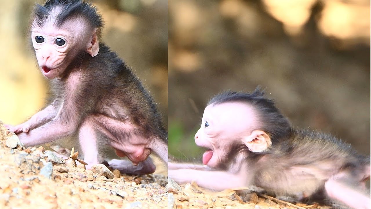 Just Wonder Why Maddie Almost Bring Back Her Newborn In Wrong Gesture ...