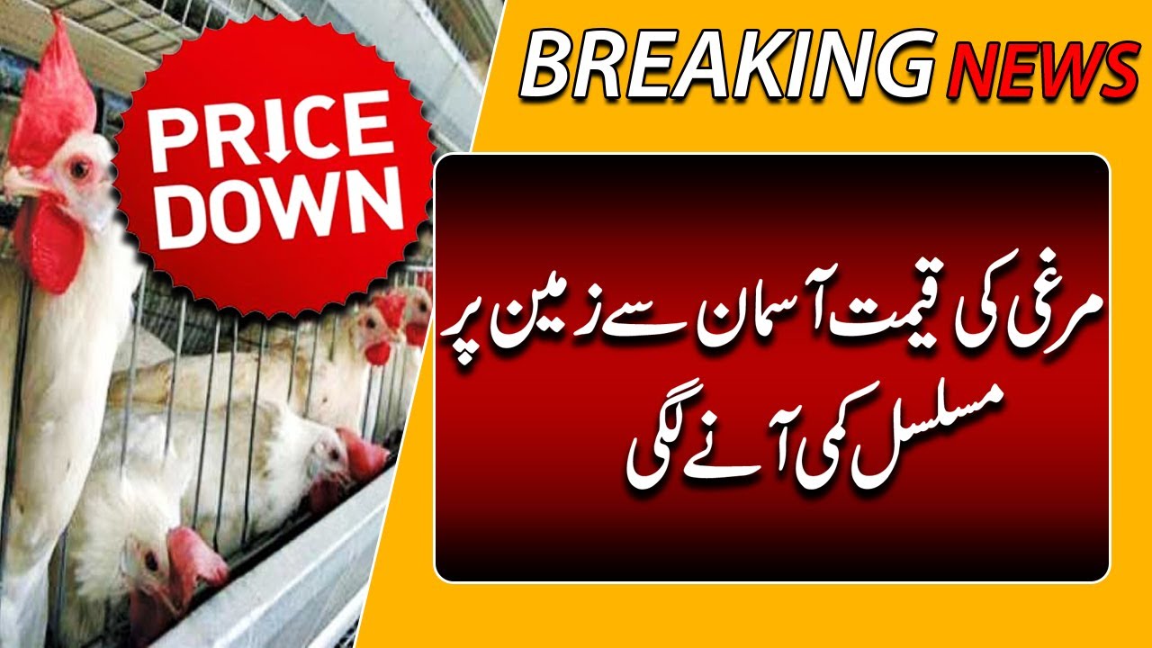 Chicken Price Dropped l Breaking News l Rohi News - YouTube