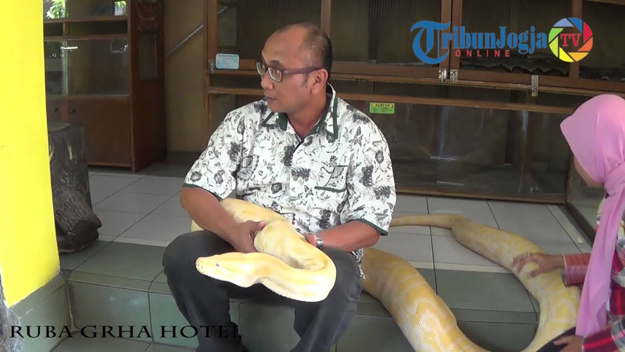 Mini Zoo Ruba GRHA - YouTube