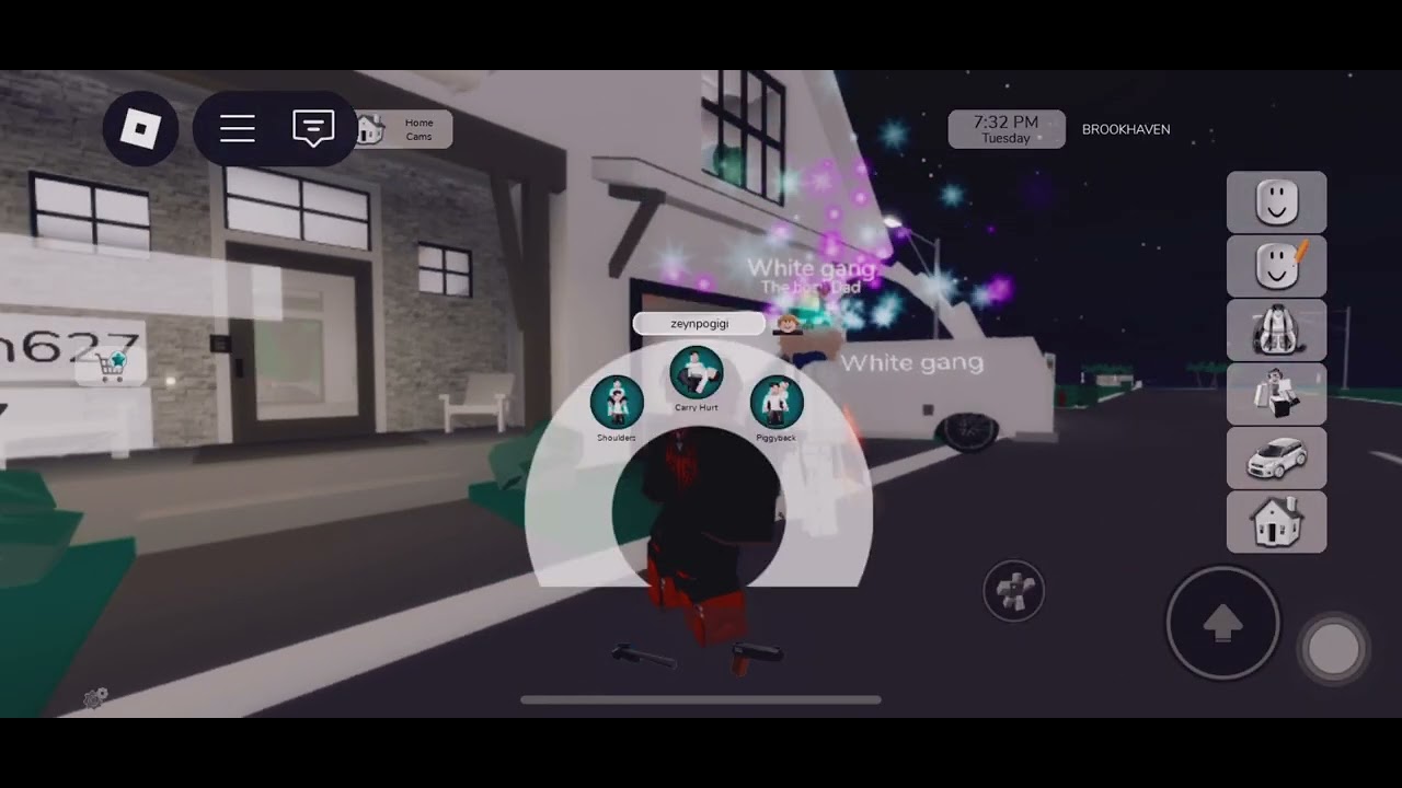 Doing random stuff in Brookhaven - YouTube