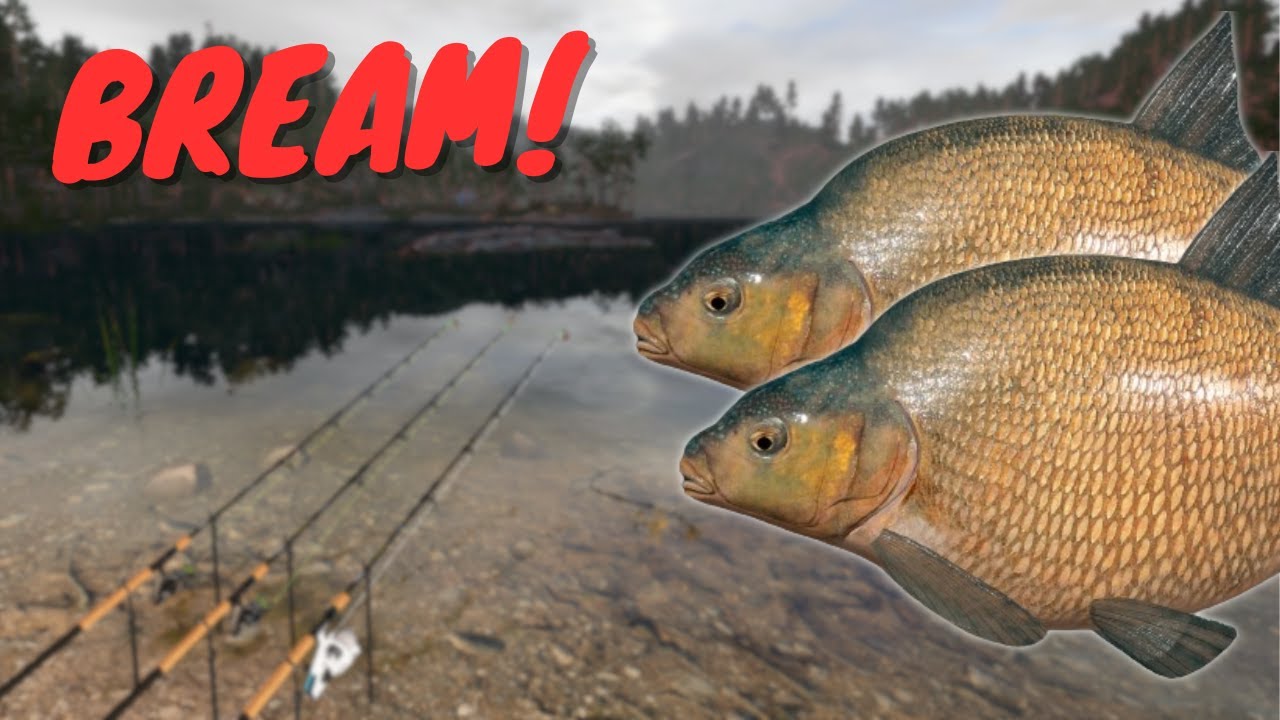 ACTIVE BREAM SPOT IN KUORI LAKE! #896 Russian fishing 4 - YouTube