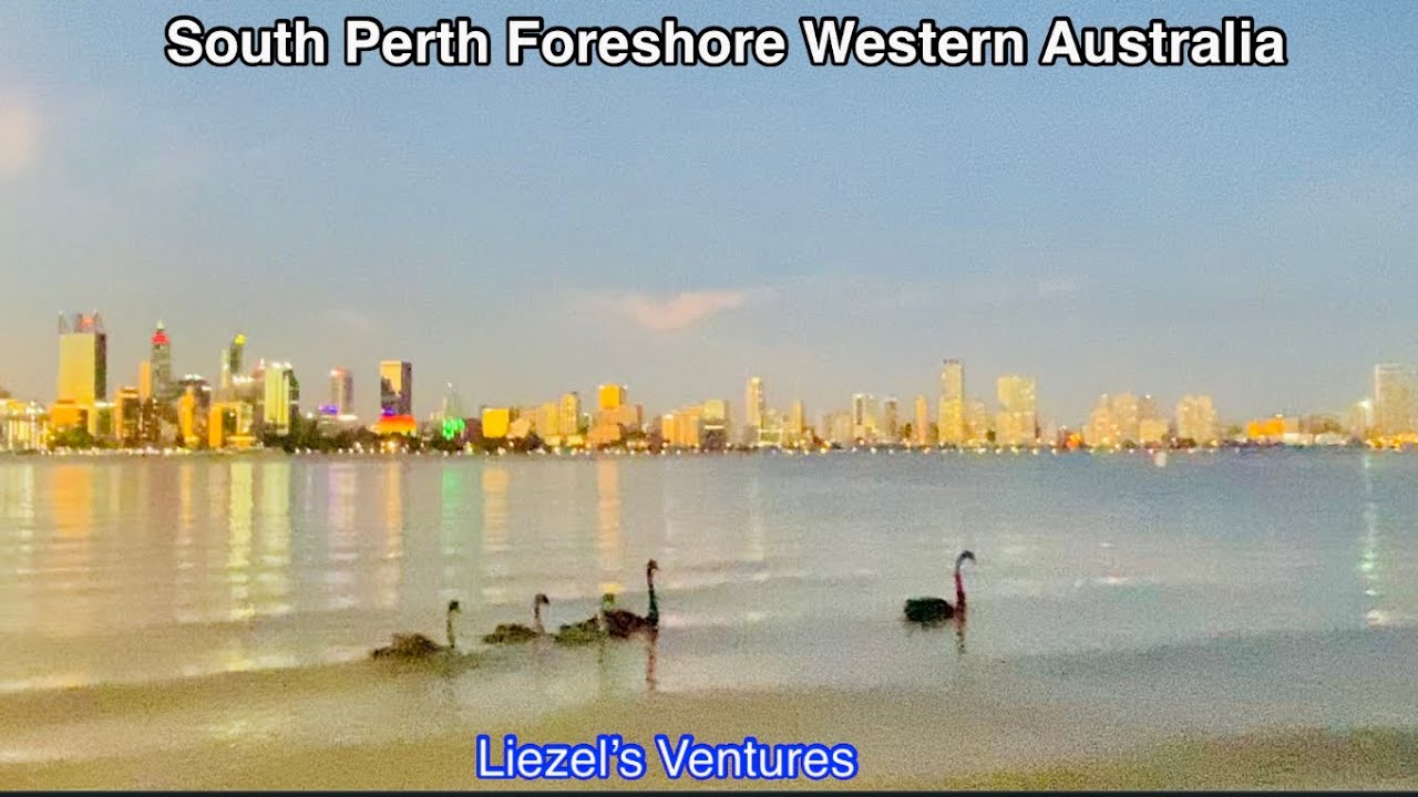 South Perth Foreshore- Beautiful Sunset-Swan River Walk- Perth City ...