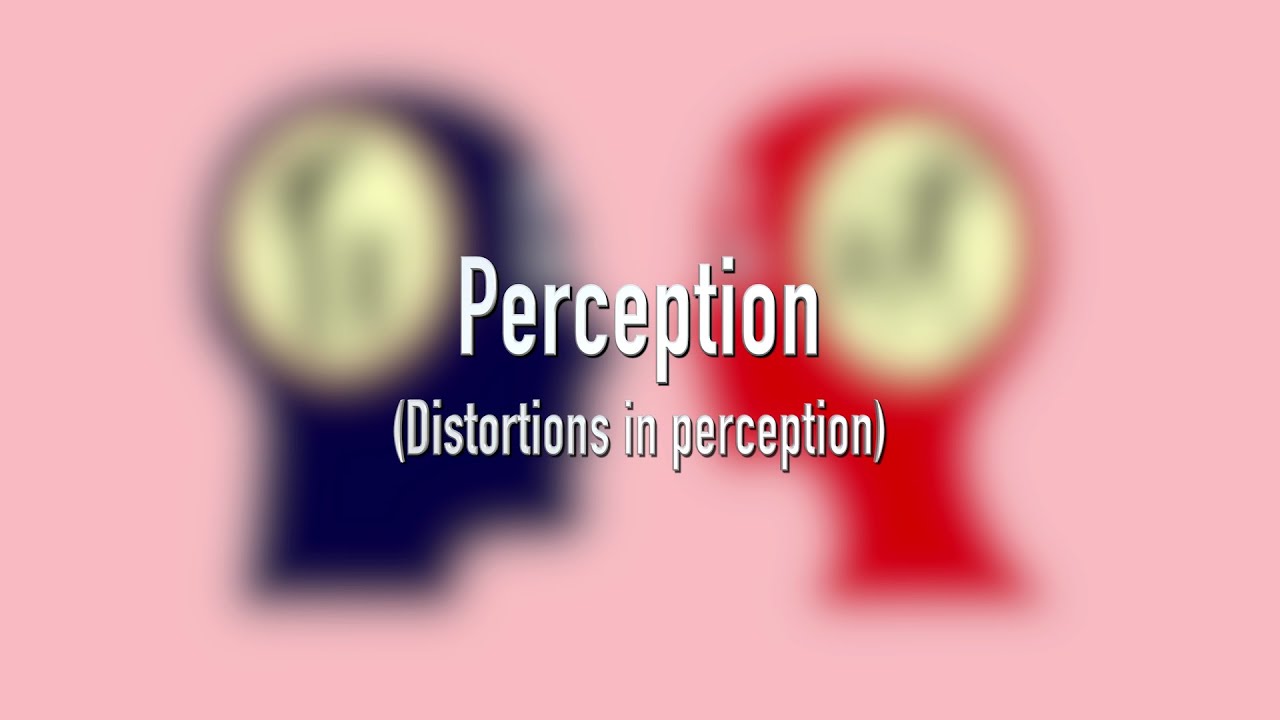 Lesson 19 Perception Distortions in Perception - YouTube