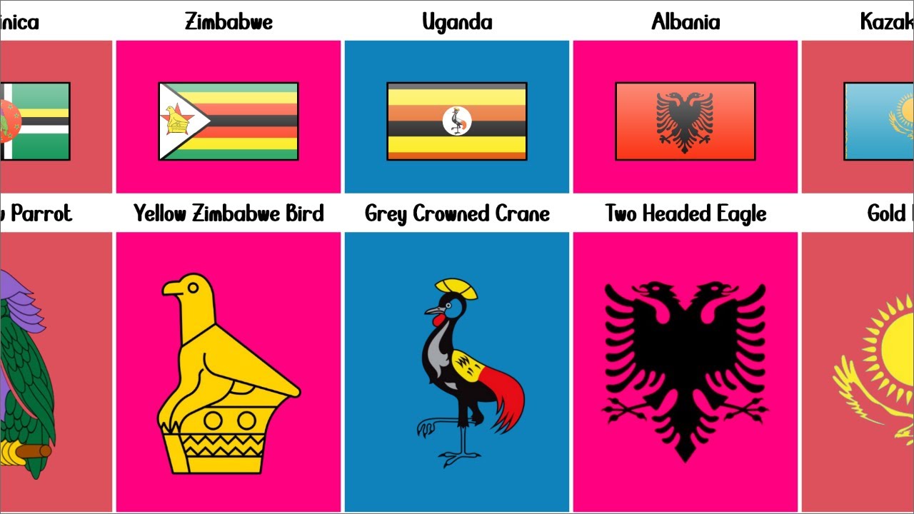 Animals Inside Country Flag of Different Countries | list Country Flags ...