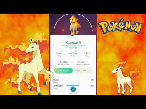 Ponyta Evoluciona a Rapidash Buen IV Pokémon go (Ponyta Evolution to ...