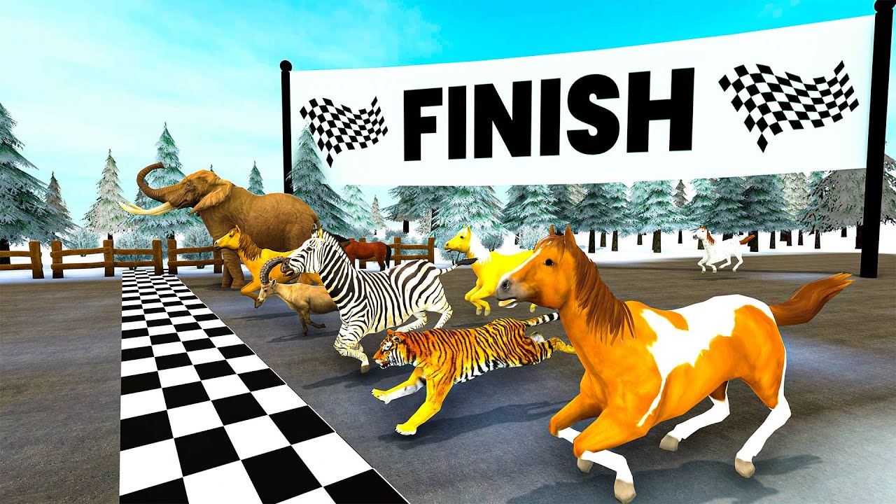 Racing Animals | Wild Animal Race | Tiger running | Horses running ...