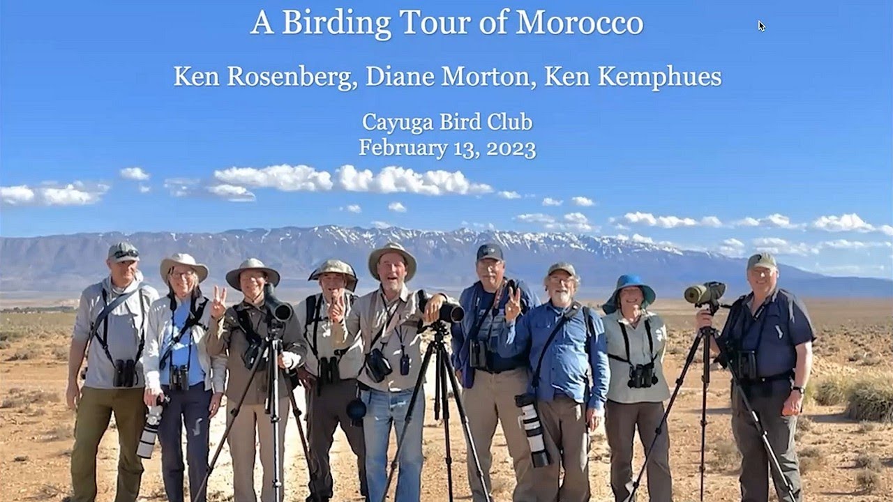 A Birding Tour of Morocco - Cayuga Bird Club 2023-02 - YouTube