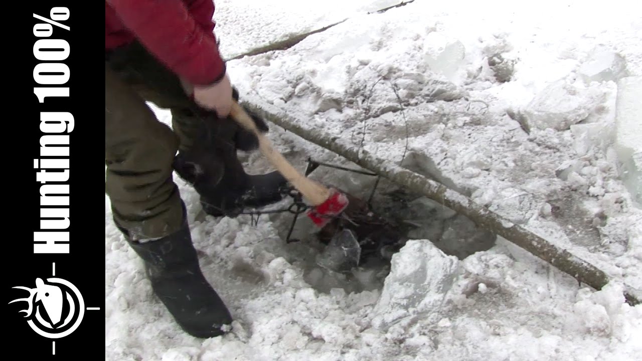 Trapping Small Winter Predators in Canada - YouTube