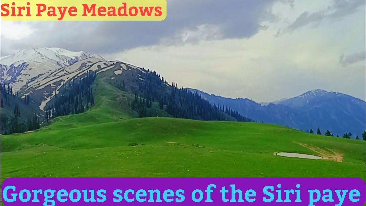 Shogran Valley Ka Best View Point//Siri paye Meadows Shogran View Scene ...