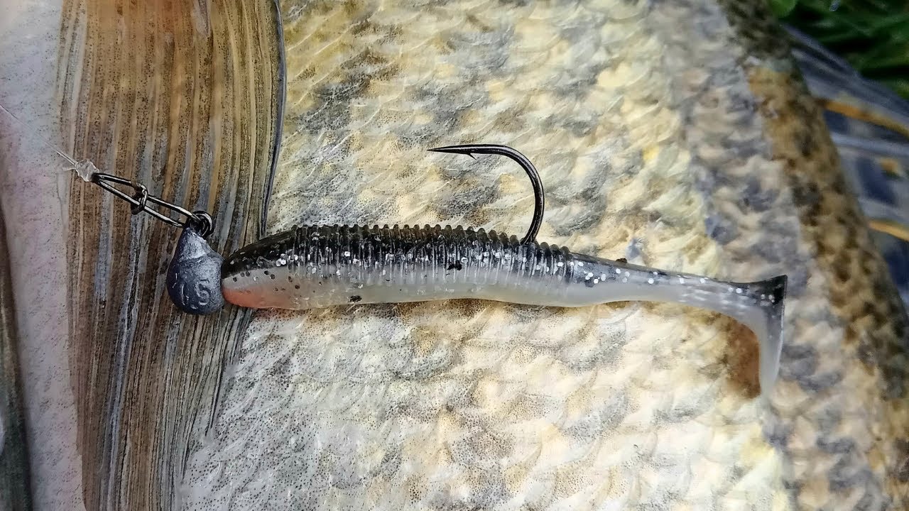 Pescuit la salau primavara cu Storm Slop Hopper - YouTube