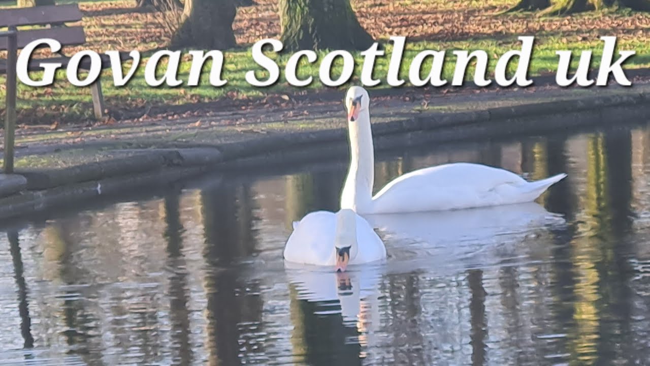 Govan Scotland uk short tour Wednesday 3 Jan 2024 - YouTube