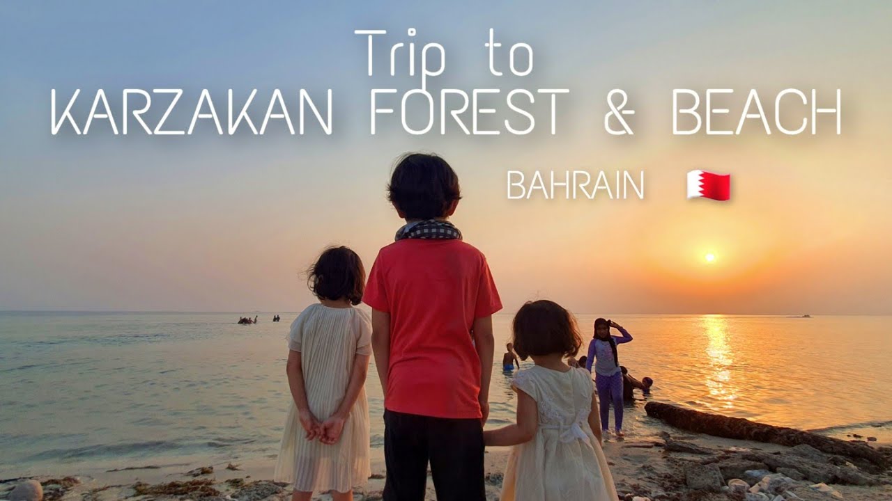 Bahrain Travelogue: Trip to Karzakan Beach & Forest - YouTube