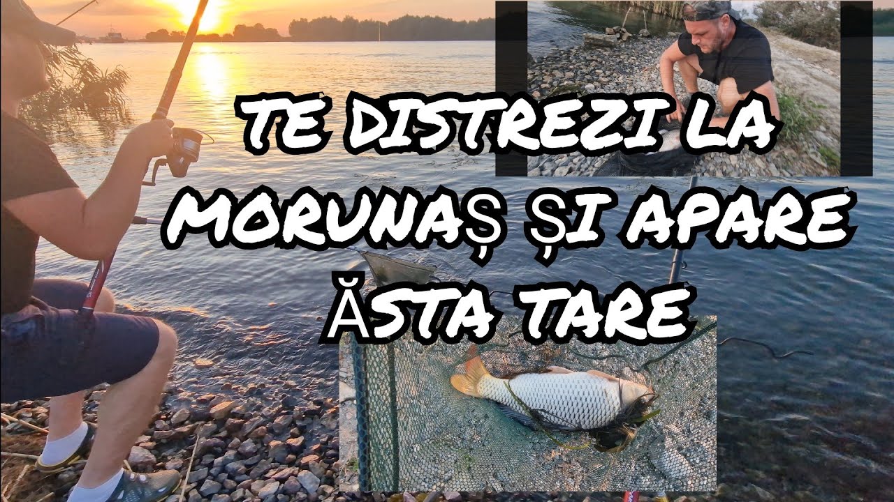 SHOW PE DUNARE LA O SCHIMBARE DE MONTURA CAT DE MULT CONTEAZA SI A ...