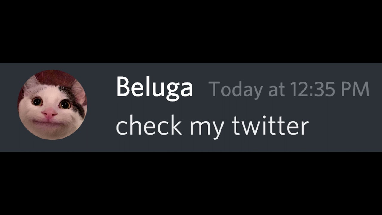 How Beluga Gets Scammed By Hecker And Skittle - YouTube