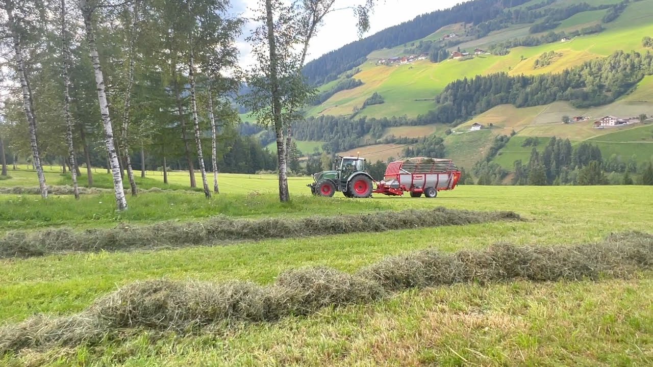Heuernte 2023 auf der Lärchenwiese | Fendt | Aebi | Gruber ProAlp ...