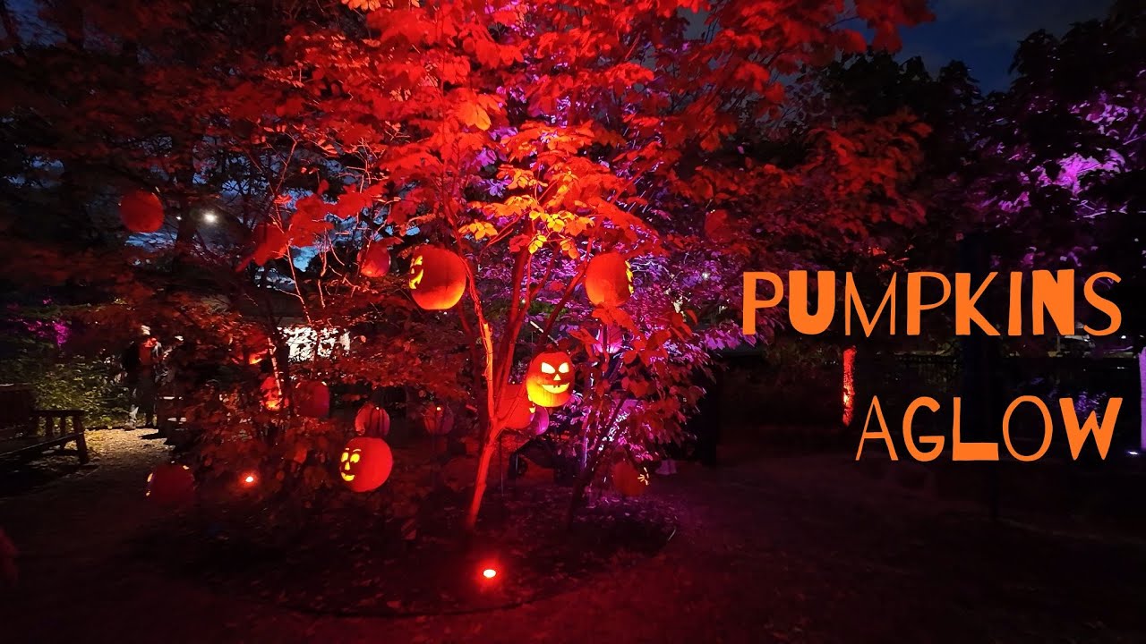 60 Second Hikes - Pumpkins Aglow - YouTube