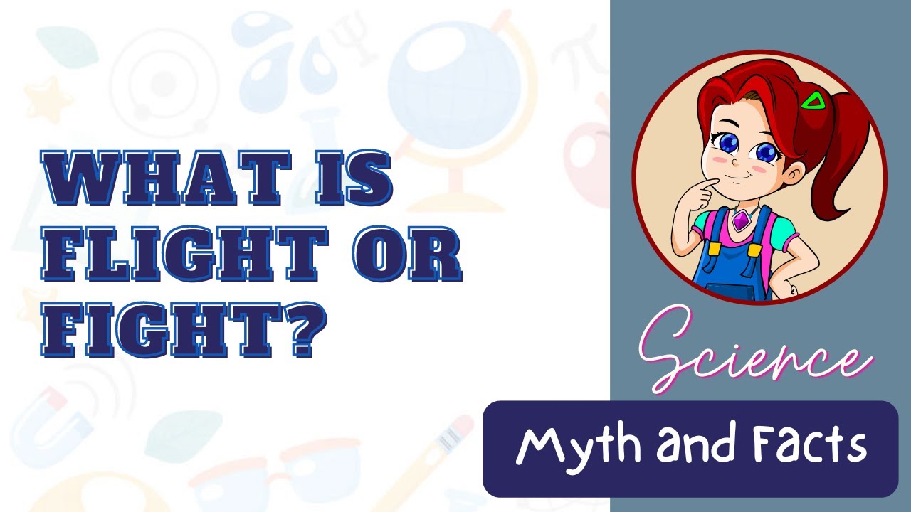 Fun FACT - What is flight or fight mode? - YouTube