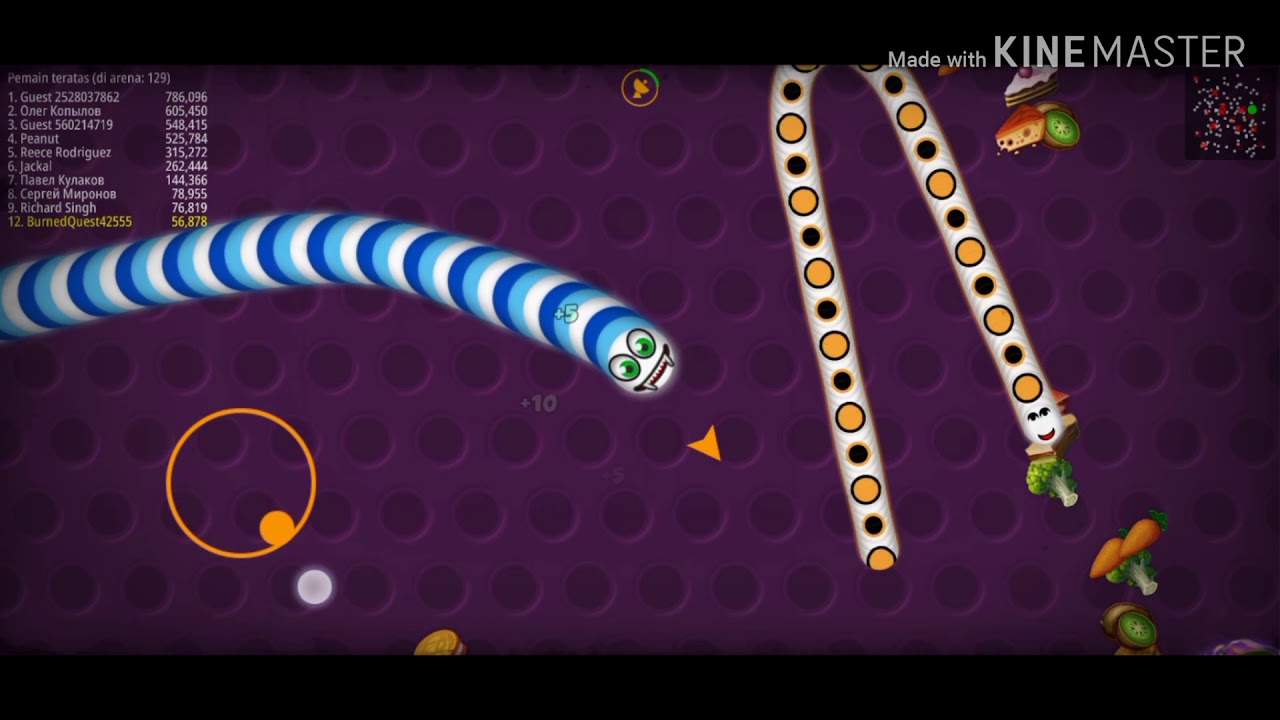 Worm,,Cacing alaska🐍cacing kecil bunuh cacing gede auto langsung masuk ...