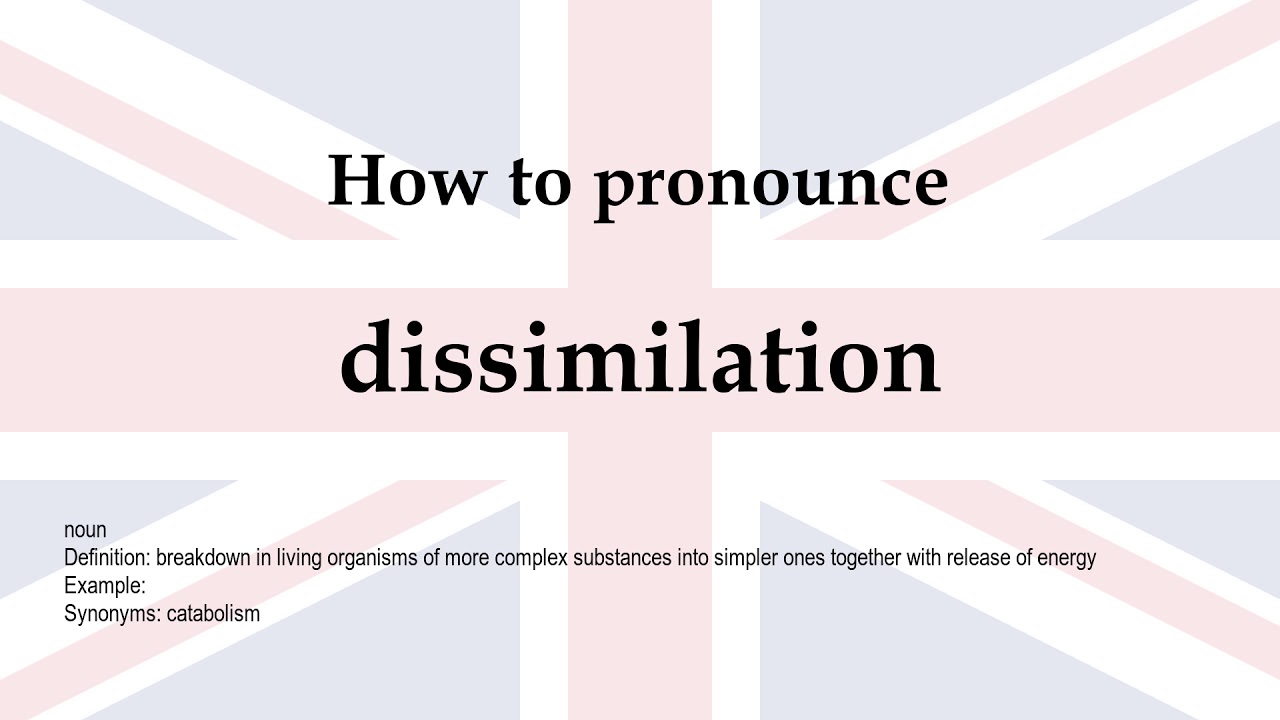How to pronounce 'dissimilation' + meaning - YouTube
