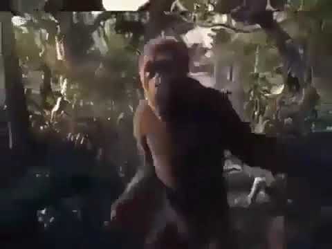 ANOX69 Camila y gaytrix en la vida real - YouTube