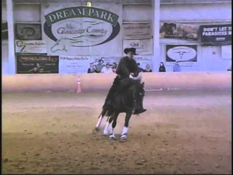 BANJOS GOT A GUN AND KYLE SHAW AT THE 2014 EPRHA REINING THUNDER ...