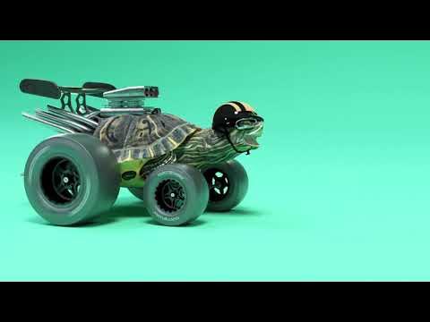 GATEWAY Turtle FINAL 15 - YouTube