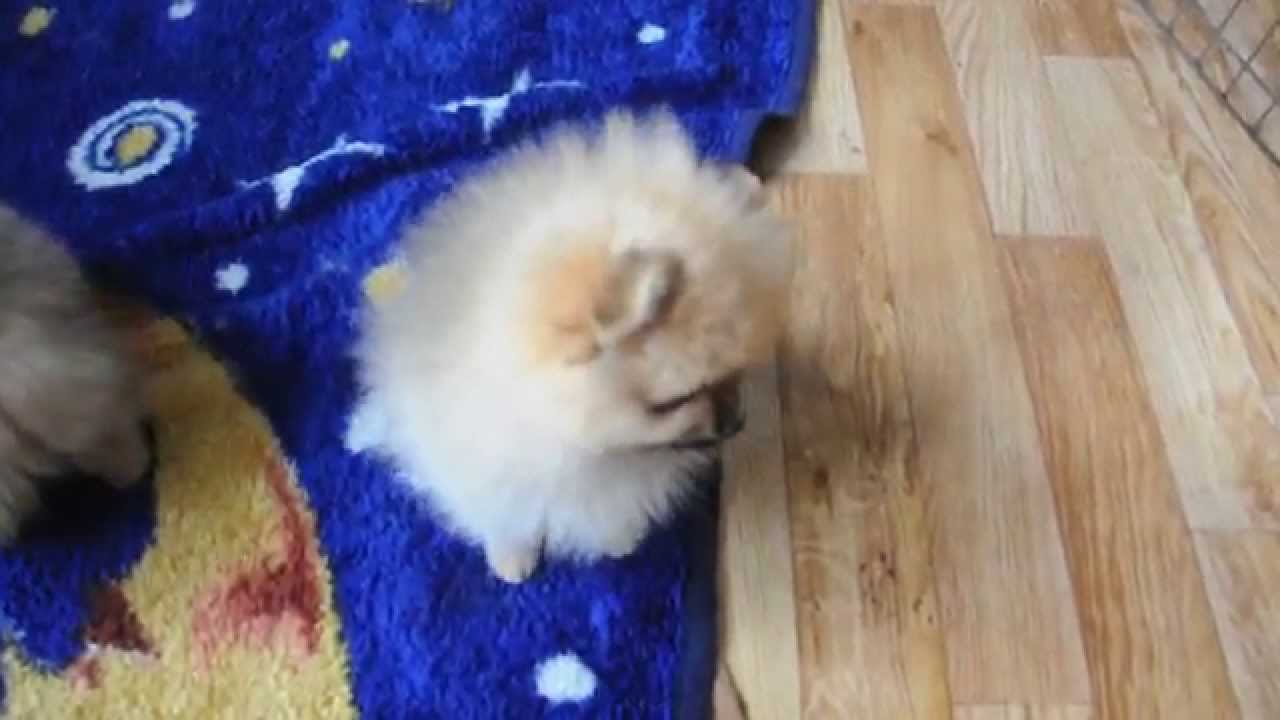 dsc-2827-youtube