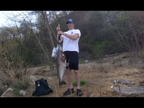 Chain Bridge Catfishing April 13 - YouTube