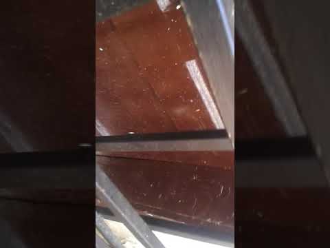 Azı yırtık kadının evine gitik