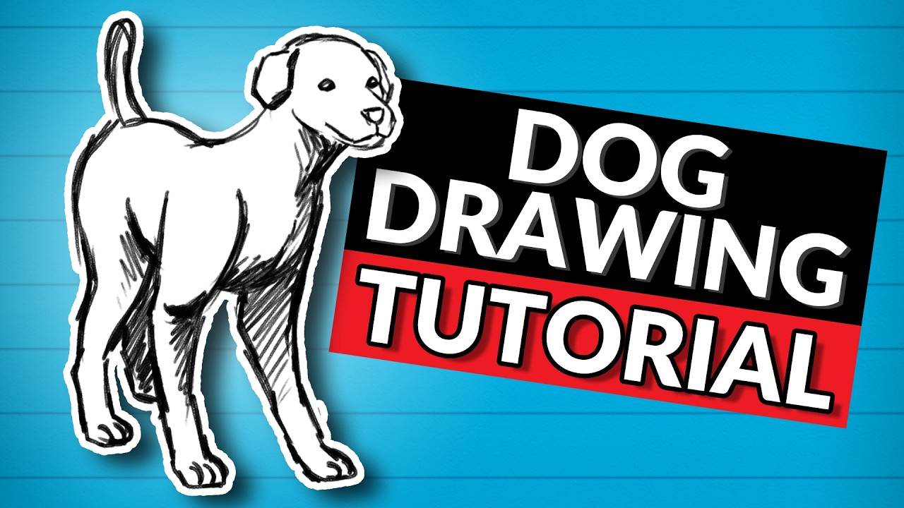 How to draw dogs for beginners - YouTube