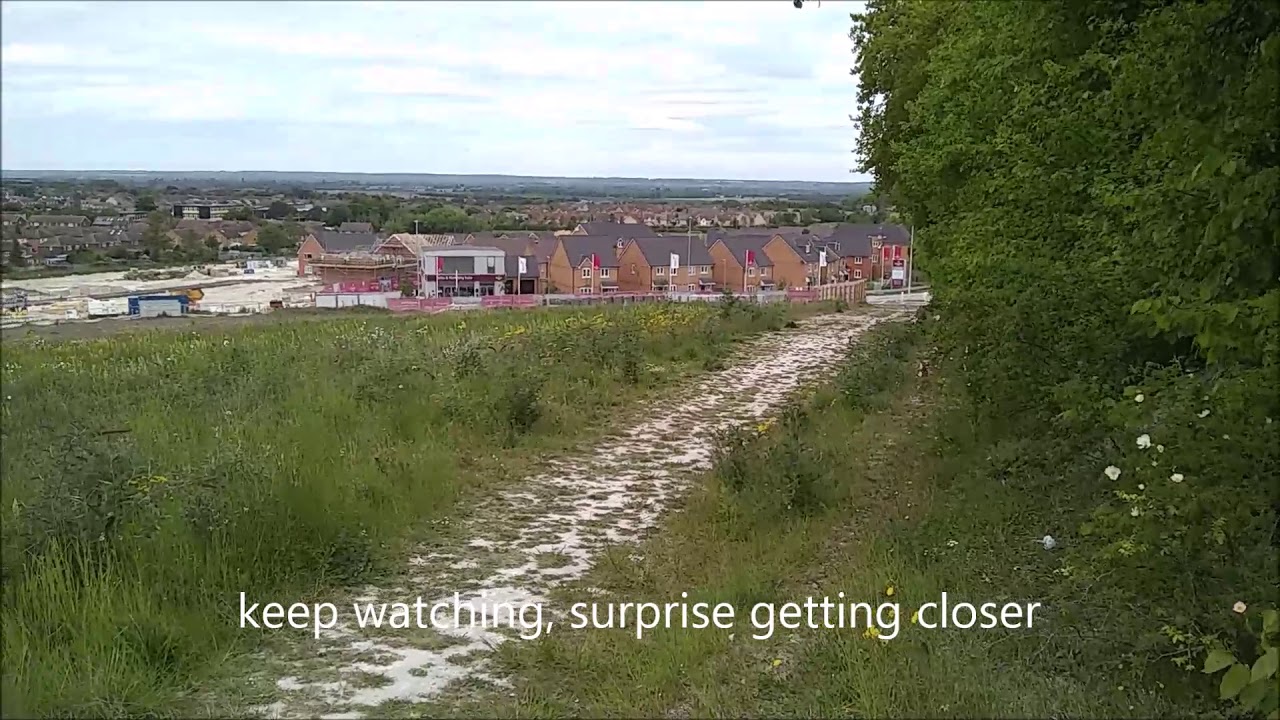Meridian walk - YouTube