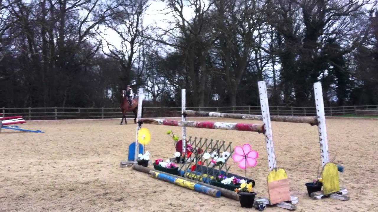 Matt & Zappa - YouTube