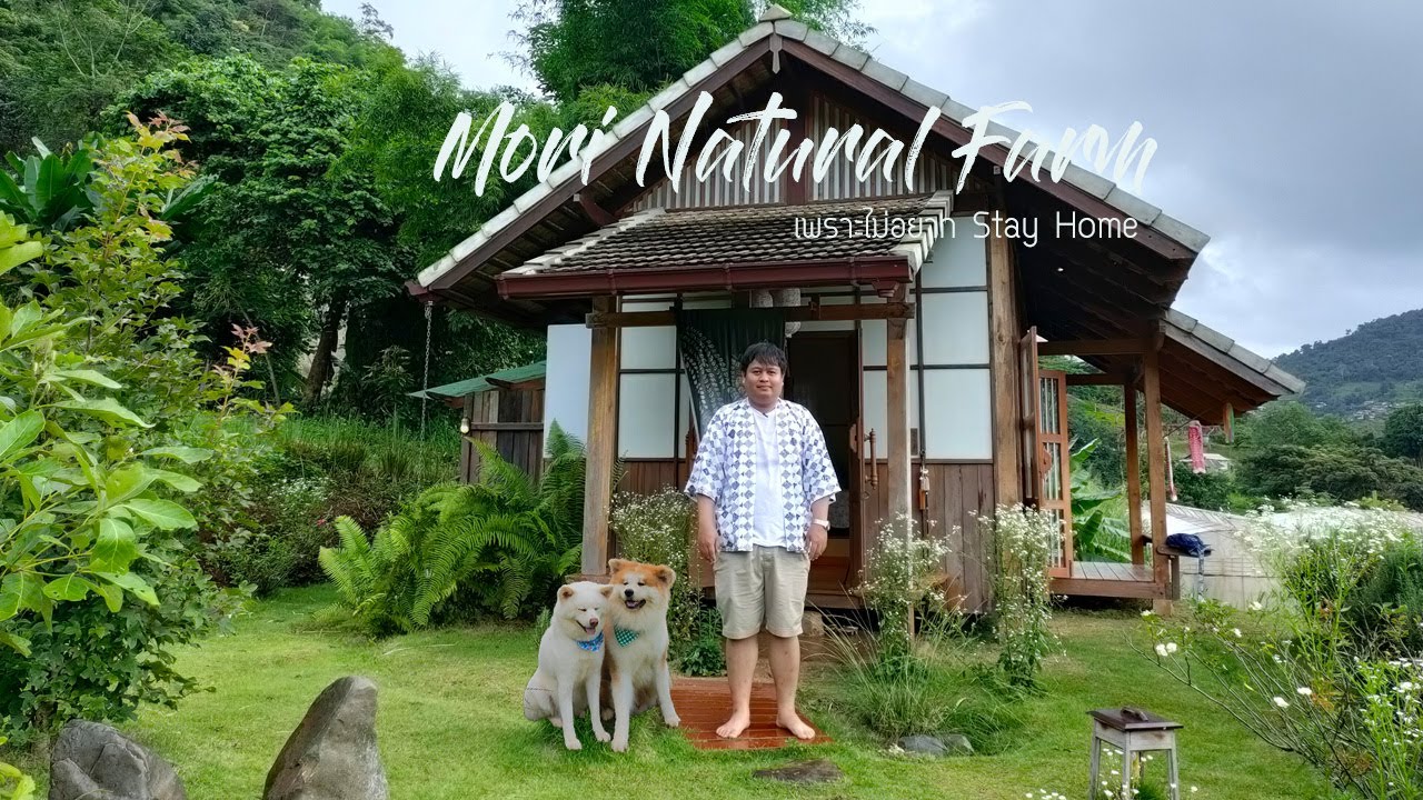 เพราะไม่อยาก Stay Home Ep.1 | Mori Natural Farm - YouTube