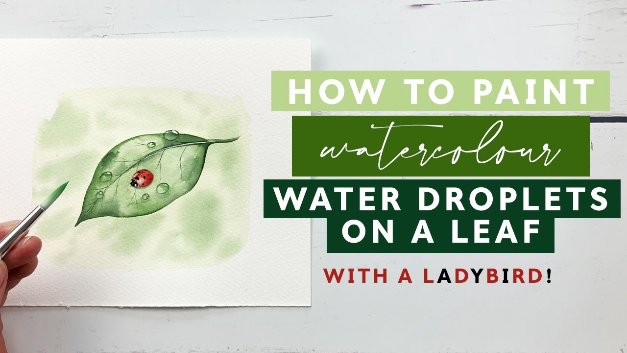How To Paint Water Droplets On A Leaf In Watercolour - YouTube