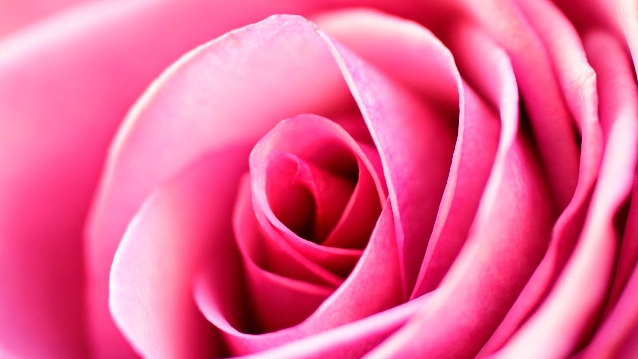 A Woman of Paradise - Rasheed Barbee - YouTube