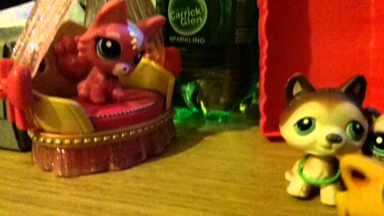 Bannda bear joined with his new friends - YouTube